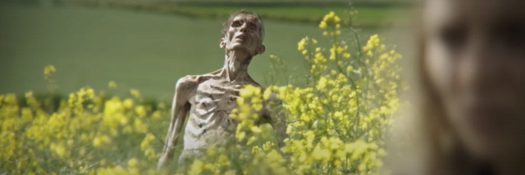 A Blood Stained Mirror some 28 Years Later - Review